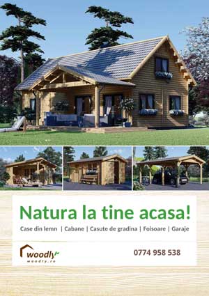 Catalog case din lemn de pin nordic Woodly Living - Case din Lemn